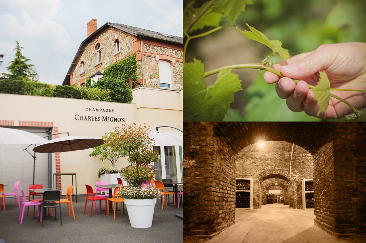 Une grande maison - Champagne Charles Mignon à Épernay | Grande Maison ...
